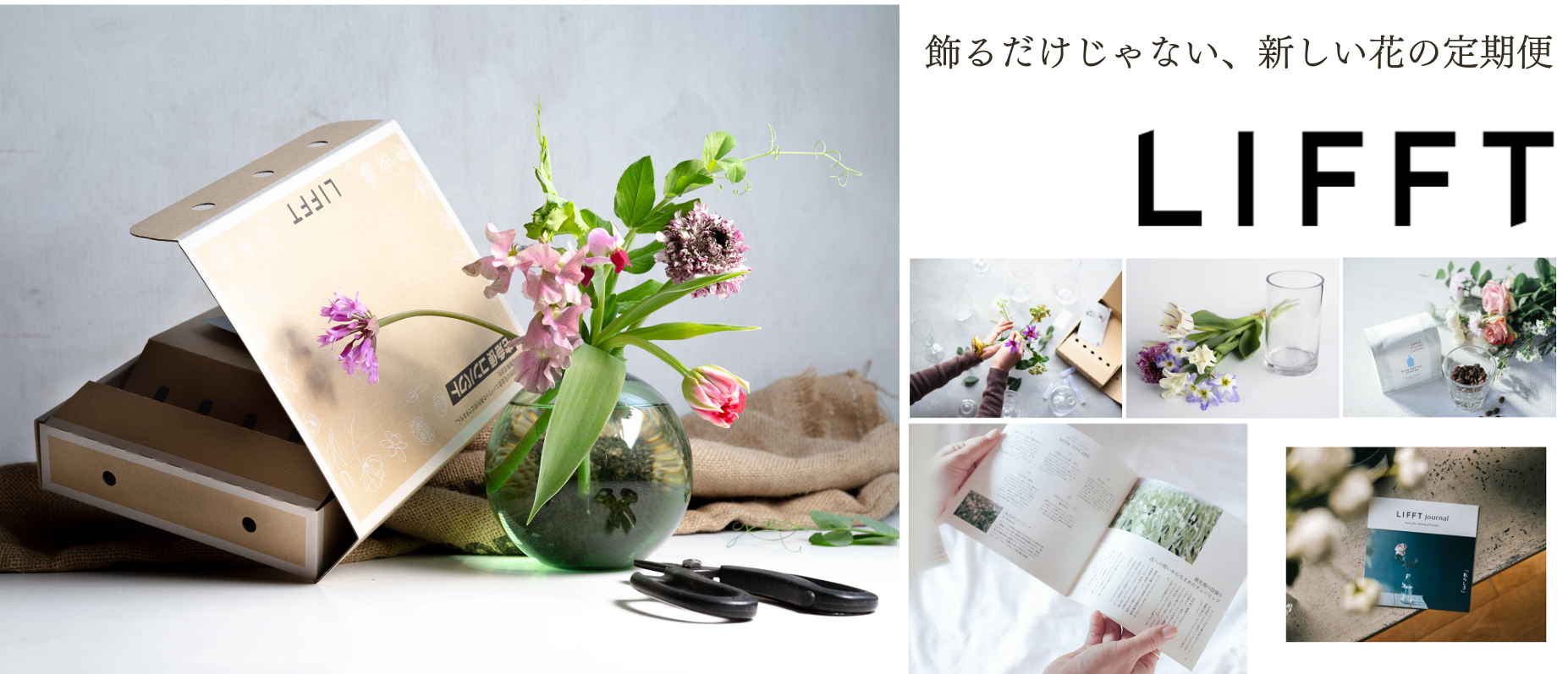 お花の定期便「LIFFT(ﾘﾌﾄ)」の特徴や事前に知っておきたいところ | 花定期なび